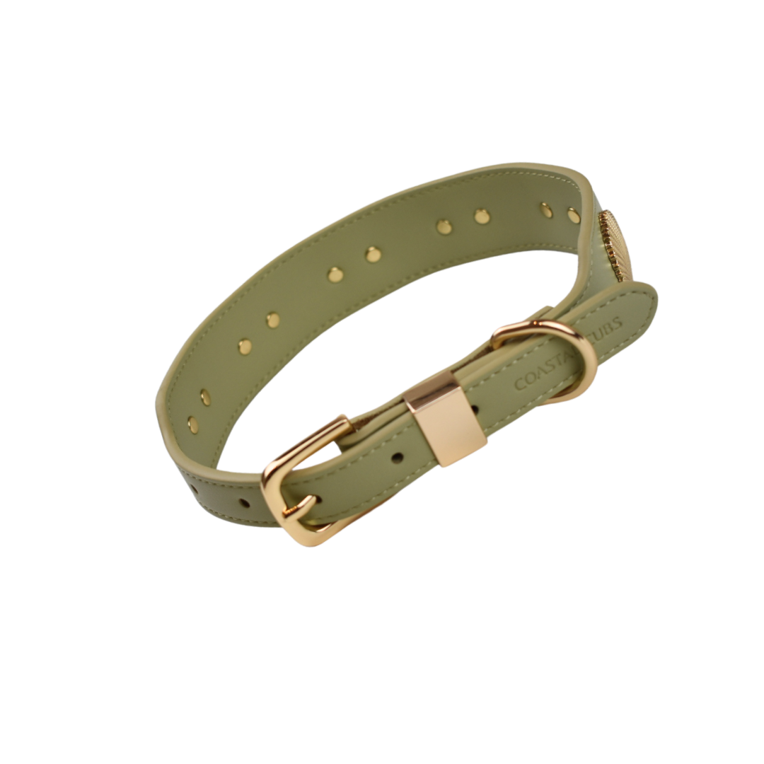 Coastal Collar in Sage & Gold – Coastal Cubs