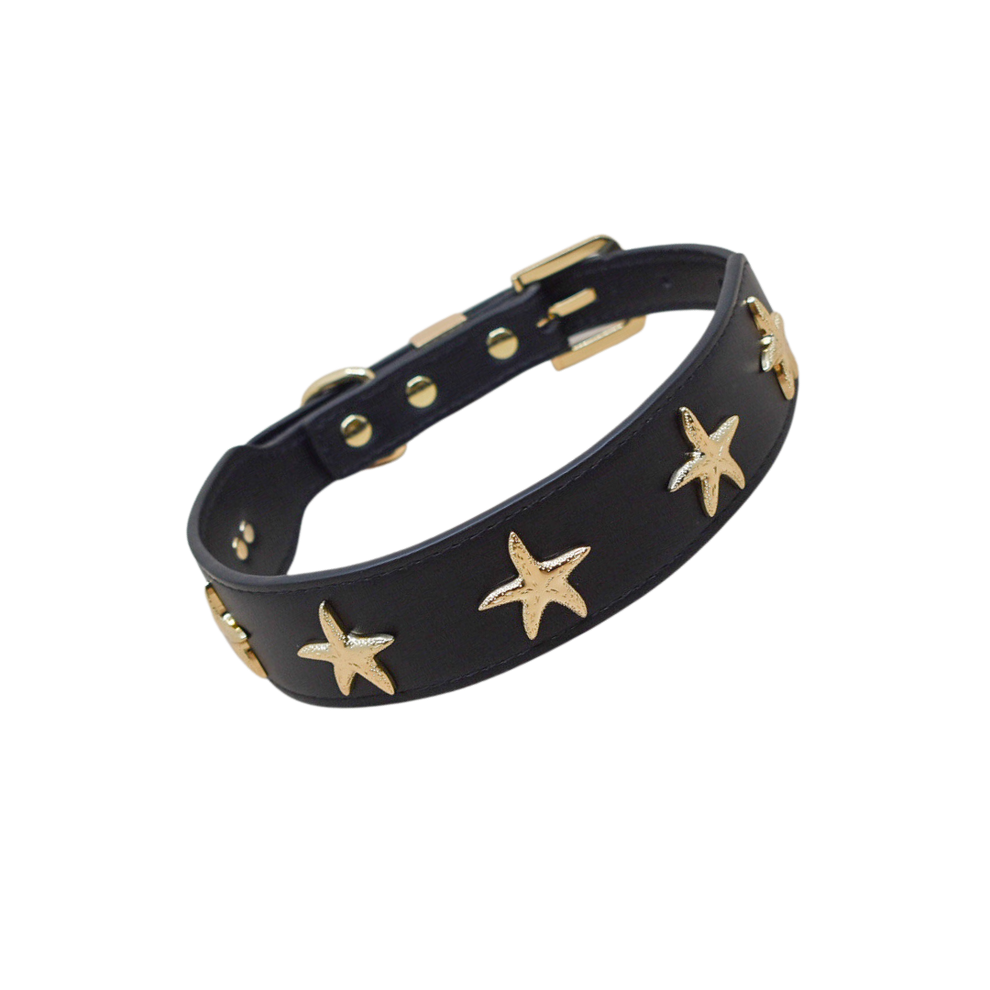 Starfish Collar in Black & Gold – Coastal Cubs
