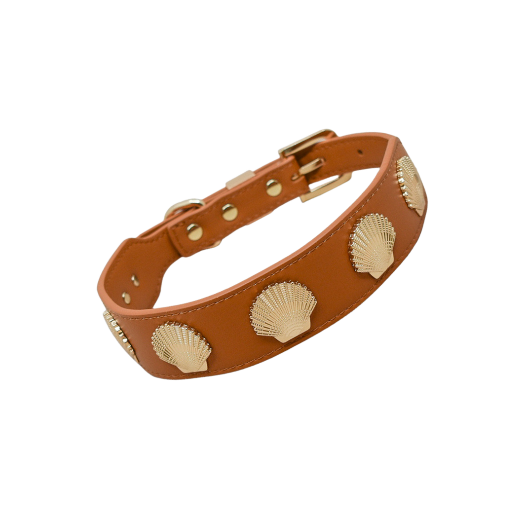 Collars – Coastal Cubs