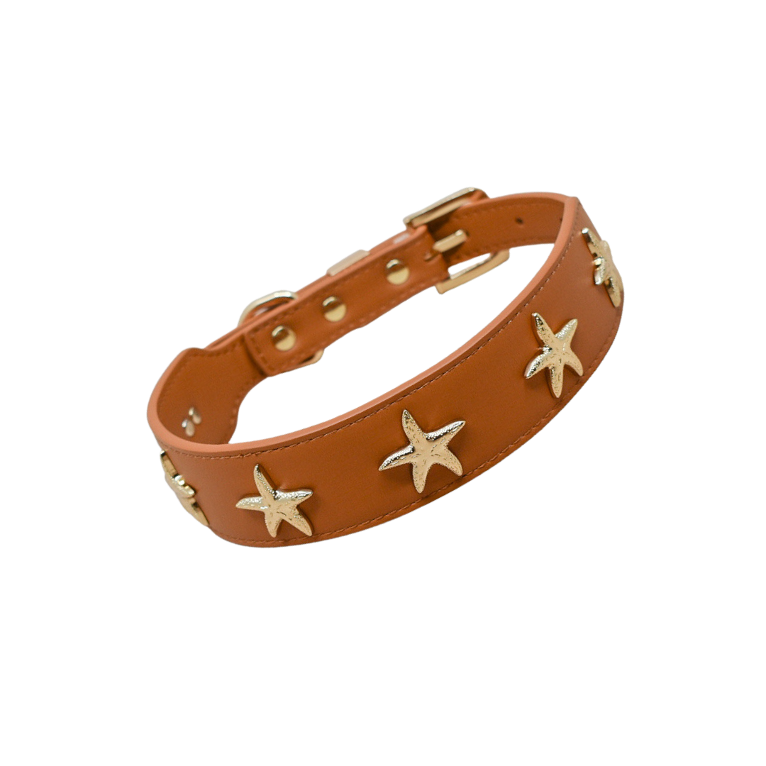 Starfish Collar in Tan & Gold – Coastal Cubs