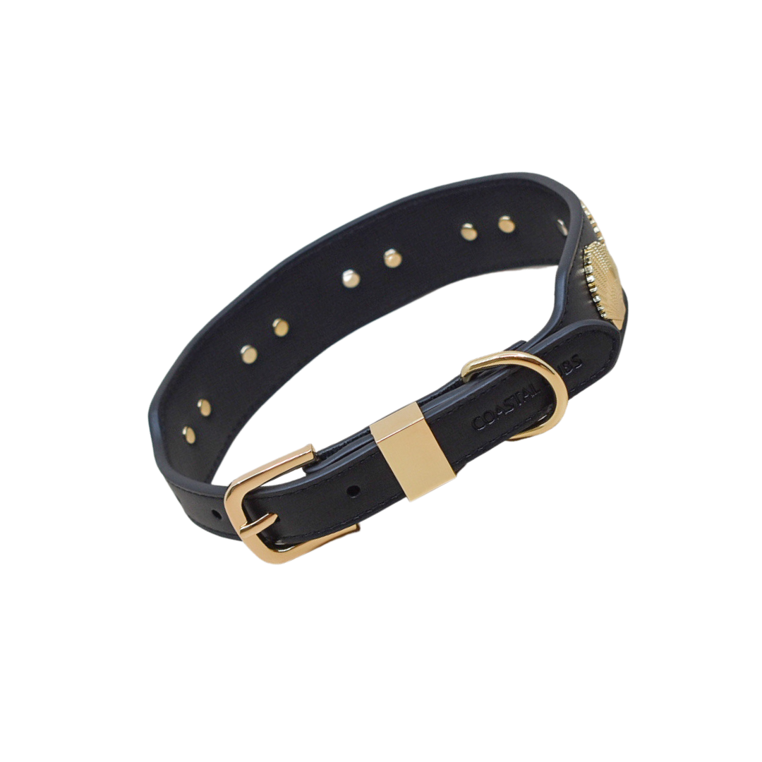 Coastal Collar in Black & Gold – Coastal Cubs